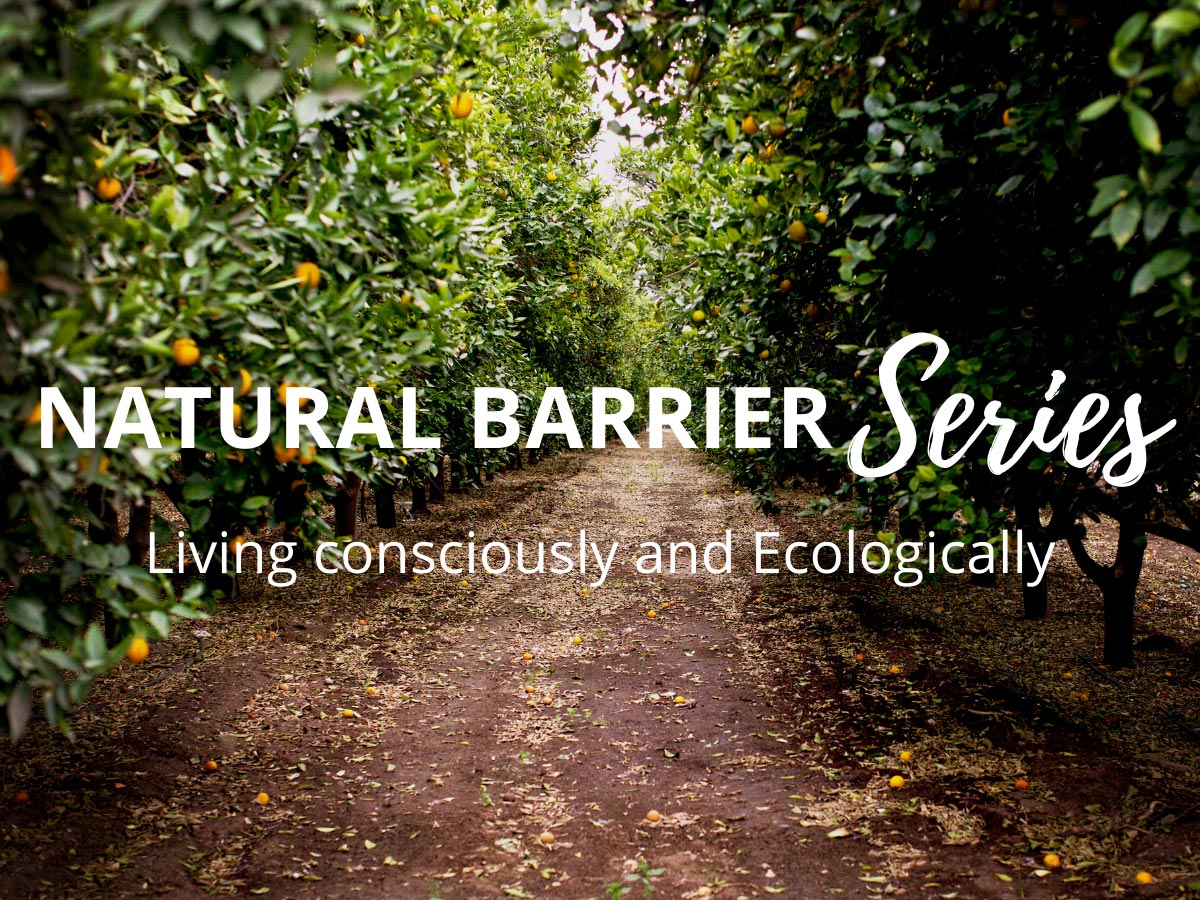 Natural Barrier Series - Argital Malaysia